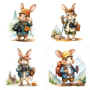 Rabbit Clipart, Tourist Clipart, Dressed as a Tourist, Taking Photos ...