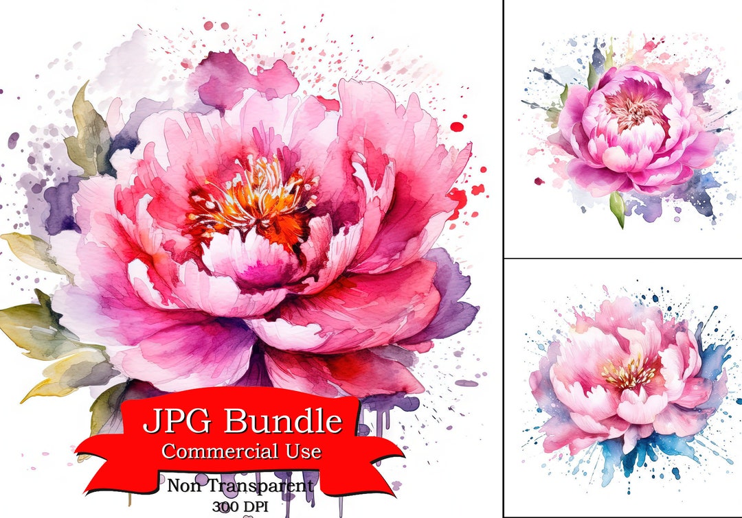 Peony Paint Splash Watercolor Digital Clipart Digital Paper Crafting ...