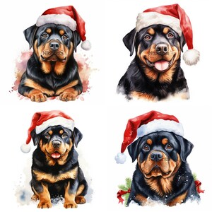 Rottweiler Dog Clipart, Christmas Clipart, in a Santa Claus Dress ...