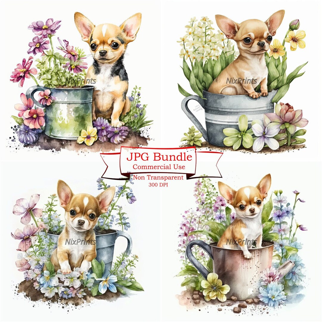Chihuahua Puppy Clipart High Quality Jpgs Commercial Use Digital Image ...