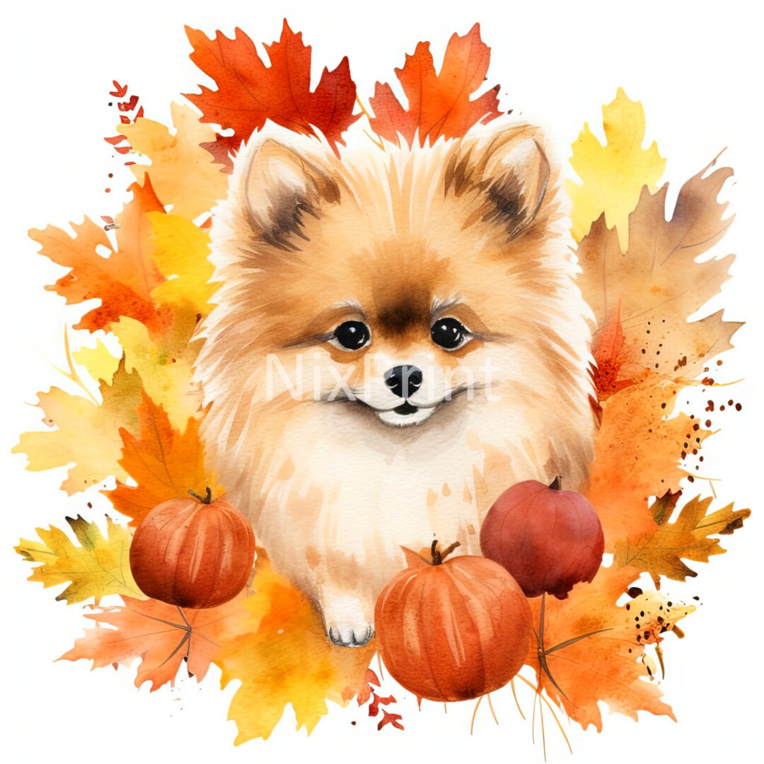 Cute Pomeranian Fall Foliage Clipart, Dog Clipart, Poster for ...