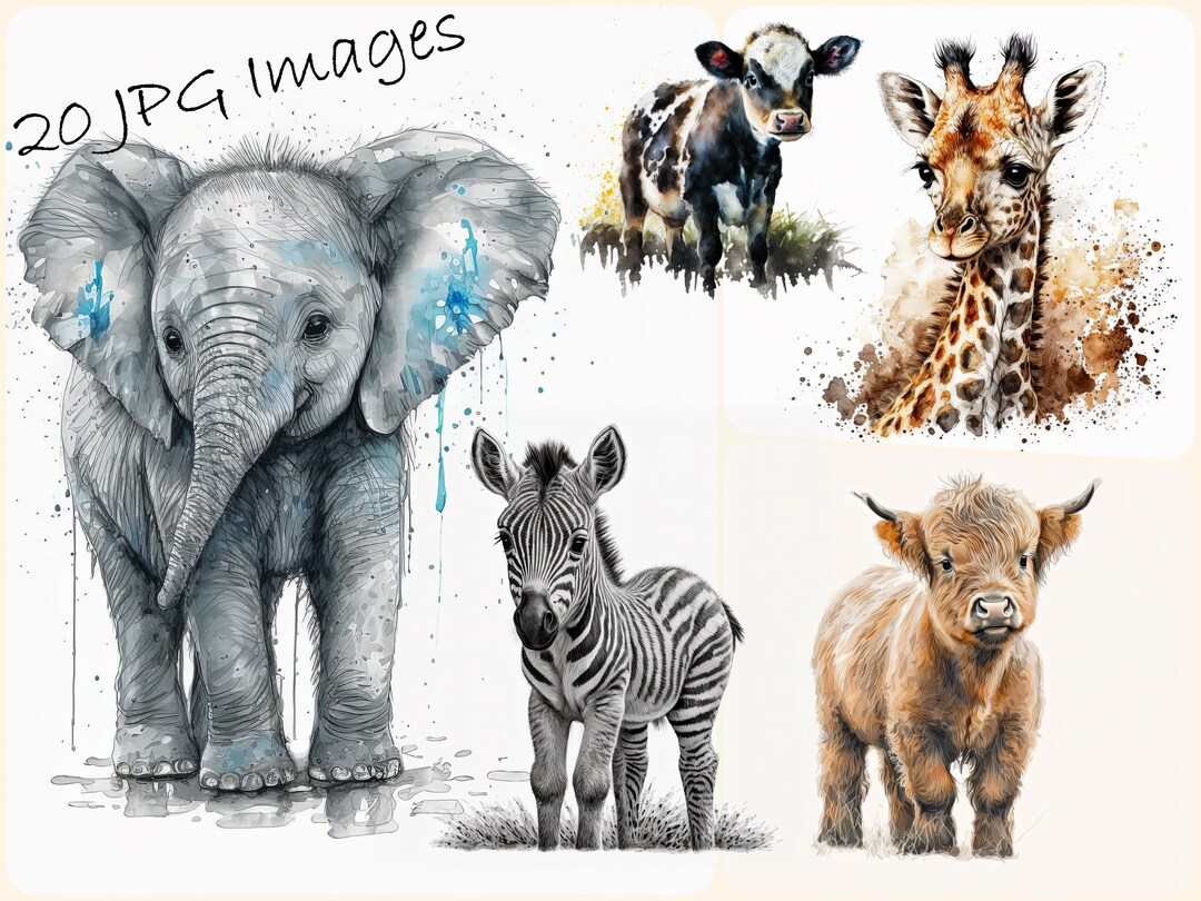 Clipart Bundle Safari Watercolor Animal, Safari Bundle,jpg High Quality ...