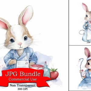 Rabbit Clipart, Nurse's Cliart, in a Nurse's Outfit, Taking Care of ...