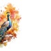 Peacock Autumn River Clipart Bird Clipart Watercolor for - Etsy