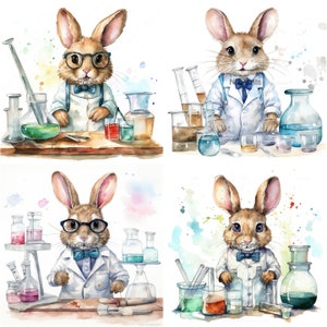 Rabbit Clipart, Scientist Clipart, in a Scientist's Lab Coat ...