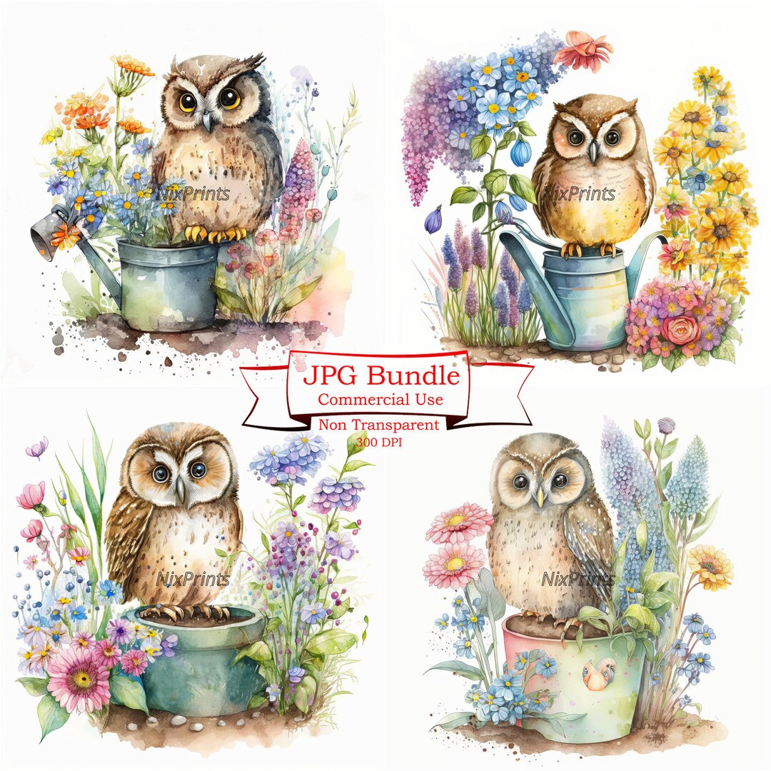 Spring Owl Clipart and Digital Papers for Commercial Use, Printable ...