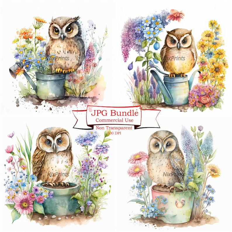 Spring Owl Clipart and Digital Papers for Commercial Use - Etsy