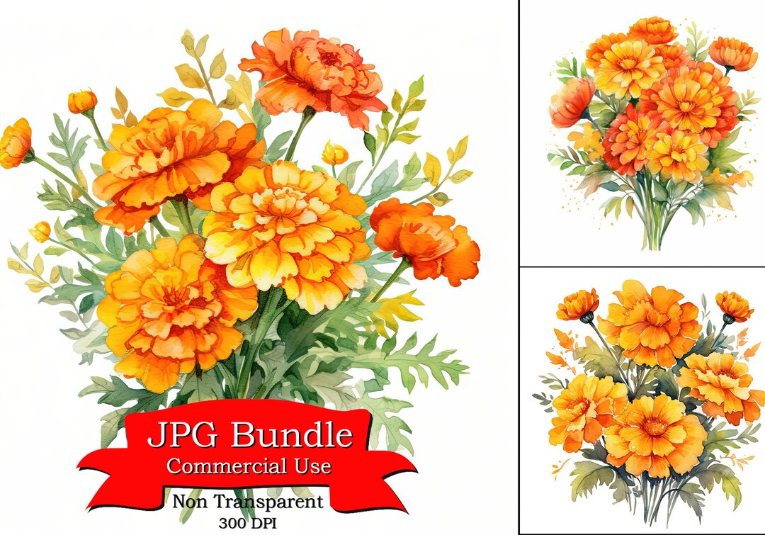 Watercolor Marigold Clipart Flower Bouquet,digital Paper Crafting ...