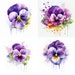 Viola Flower Paint Splash Clipart, Watercolor Art, Digital Paper ...