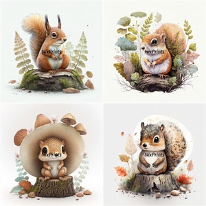 Watercolor Squirrel Clipart Set - Forest Animal Cliparts , Woodland ...