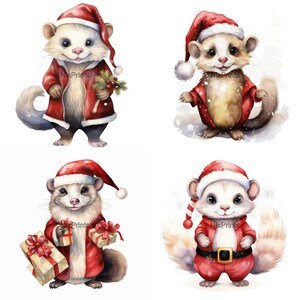 Ferret Clipart, Christmas Clipart, Santa Claus Dress, White Background ...