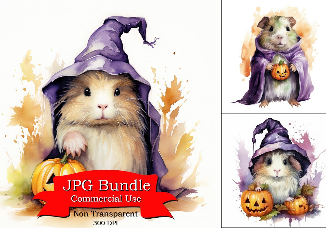 Cute Guinea Pig Clipart, Spooky Halloween Costume, Ghost, Witch, and ...