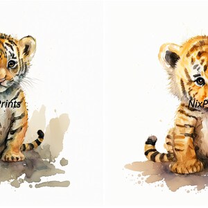 Cute Baby Tiger Clipart - Digital Watercolor Clipart for Crafting and ...