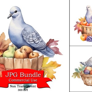 Cute Dove Harvest Food Fall Season Watercolor Clipart, Digital Sticker ...