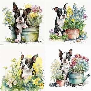 Boston Terrier Clipart, Spring Flowers & Gardening Theme, 300 DPI High ...