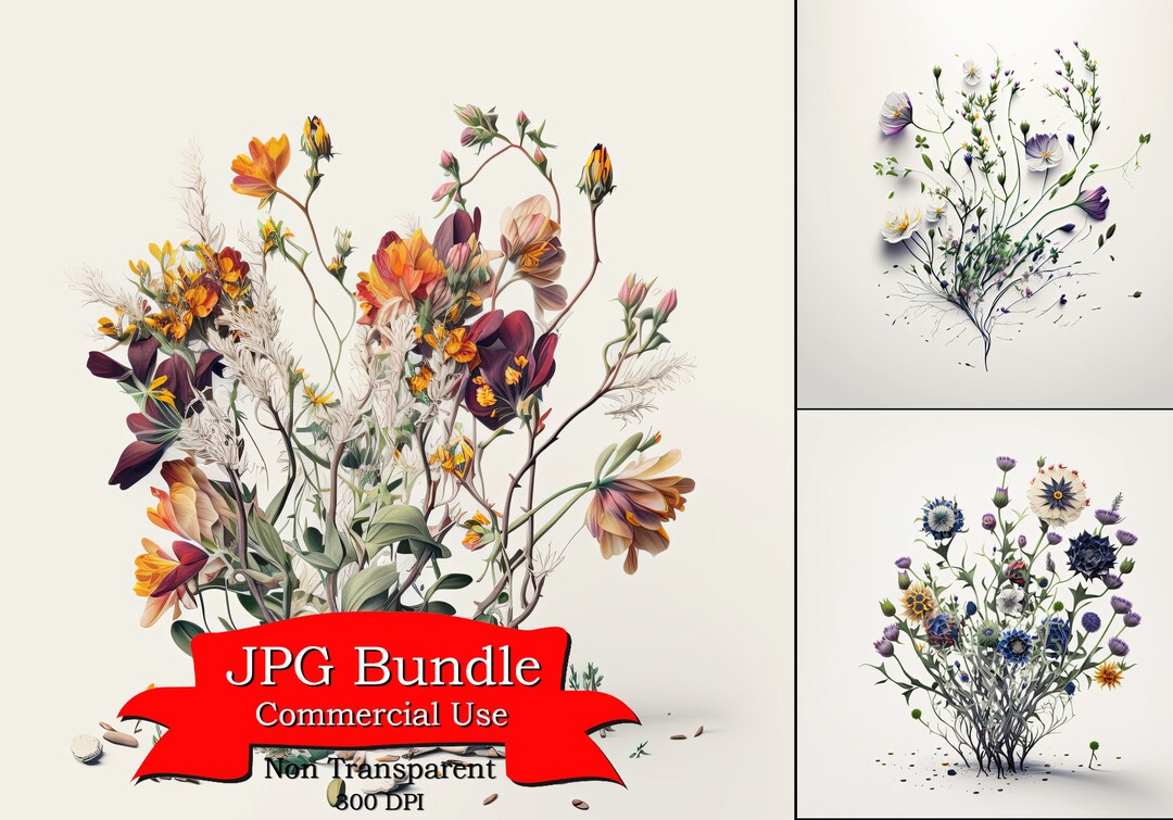 Hyper-realistic Flowers Sprouting, Detailed Clipart, Digital Download ...