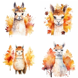 Llama Fall Foliage Clipart, Digital Sticker for Ikea, Poster for Tech ...