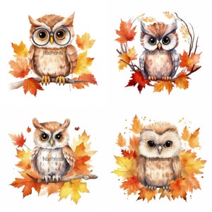 Owl Fall Foliage Clipart, Bird Clipart, Digital Sticker for Designer ...