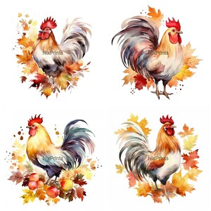 Cute Rooster Fall Foliage Watercolor Clipart, Design for Fun, Print for ...