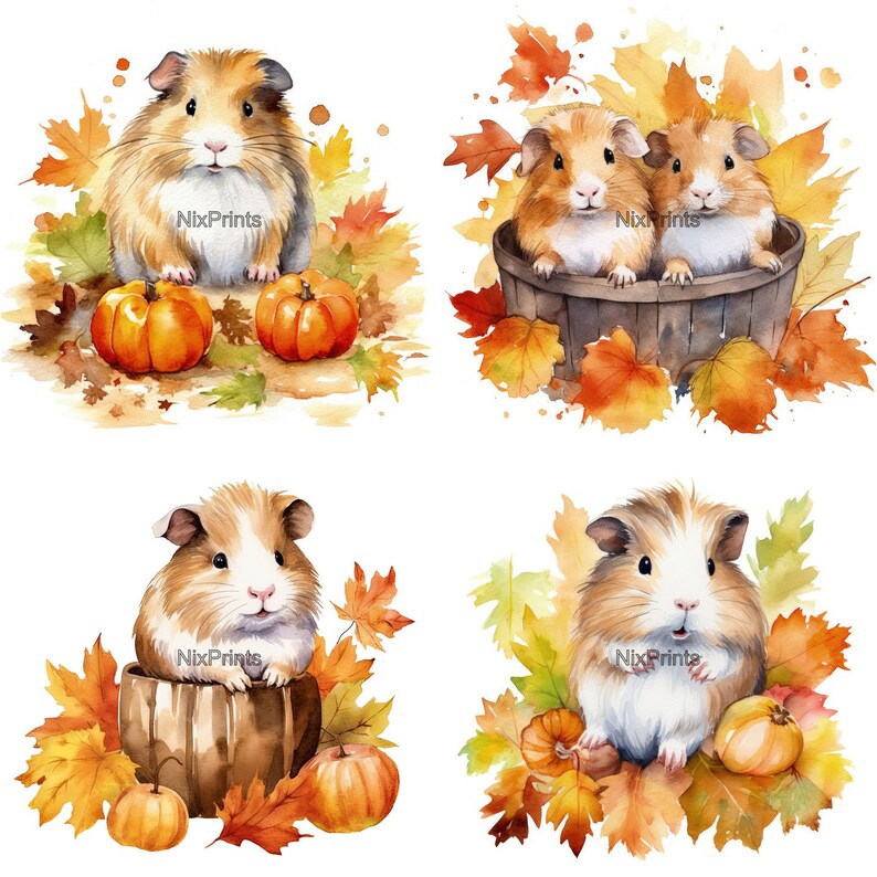 Guinea Pig Harvest Food Clipart, Images for Cutting Boards, Poster for ...