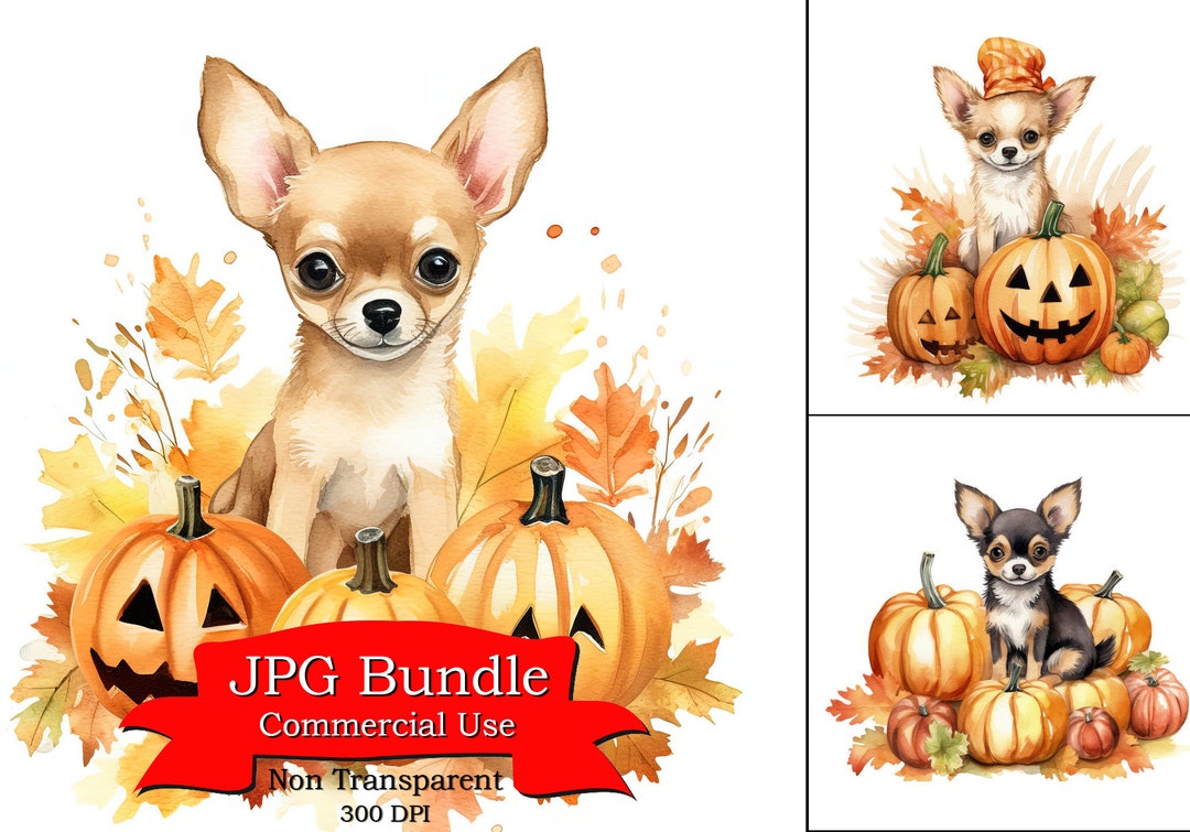 Cute Chihuahua Pumpkin Patch Fall Season Watercolor Clipart, Digital ...