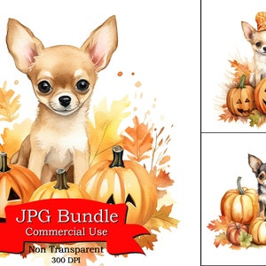 Cute Chihuahua Pumpkin Patch Fall Season Watercolor Clipart, Digital ...