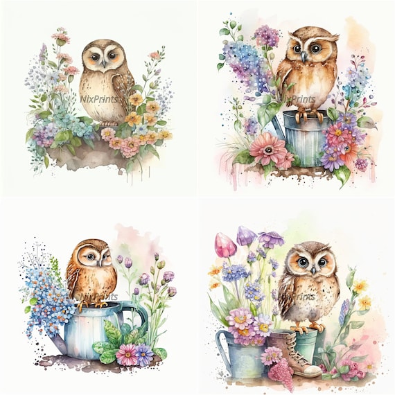 Spring Owl Clipart