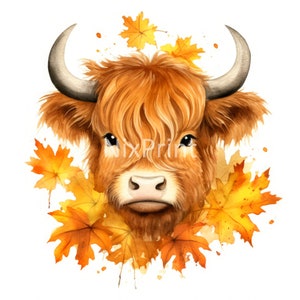 Highland Cow Fall Foliage Clipart, Picture for for Kitchen, Poster for ...