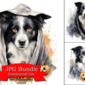 Border Collie Dog, Spooky Halloween Clipart, Ghost Theme, Art for Mens ...