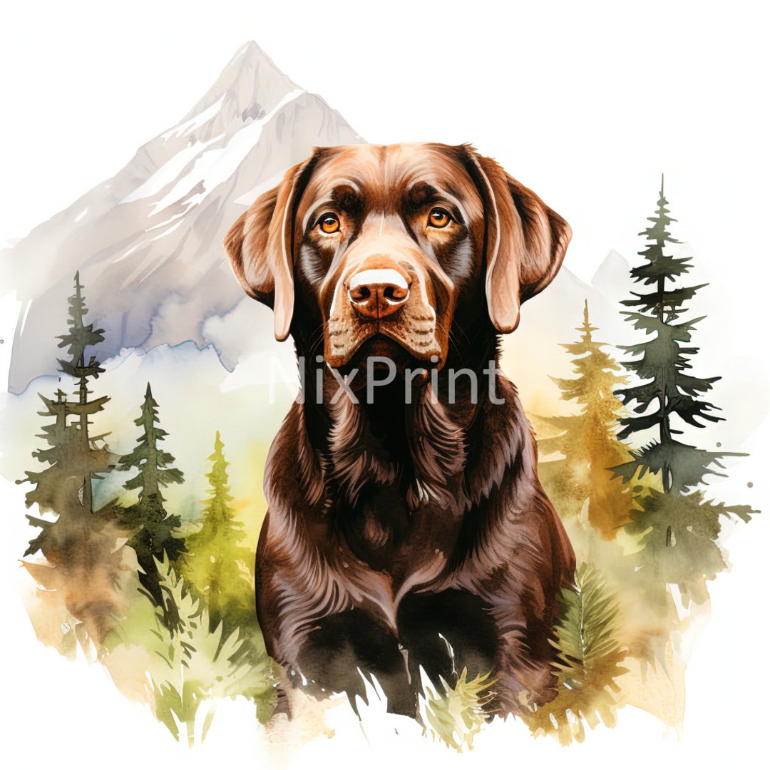 Labrador Brown Clipart, Dog Clipart, Chocolate Labrador Clipart, Dog ...