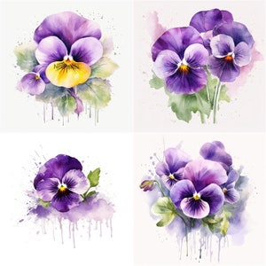 Viola Flower Paint Splash Clipart, Watercolor Art, Digital Paper ...