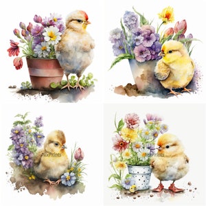 Baby Rooster Chick Clipart Set, Spring Flowers and Gardening Theme ...