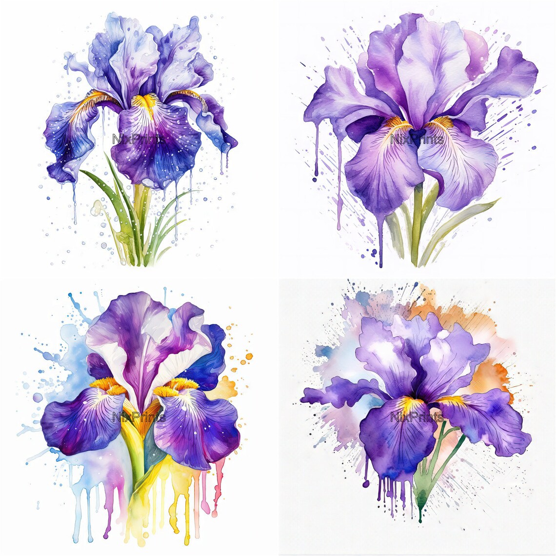 Iris Paint Splash Watercolor Digital Clipart Digital Paper - Etsy