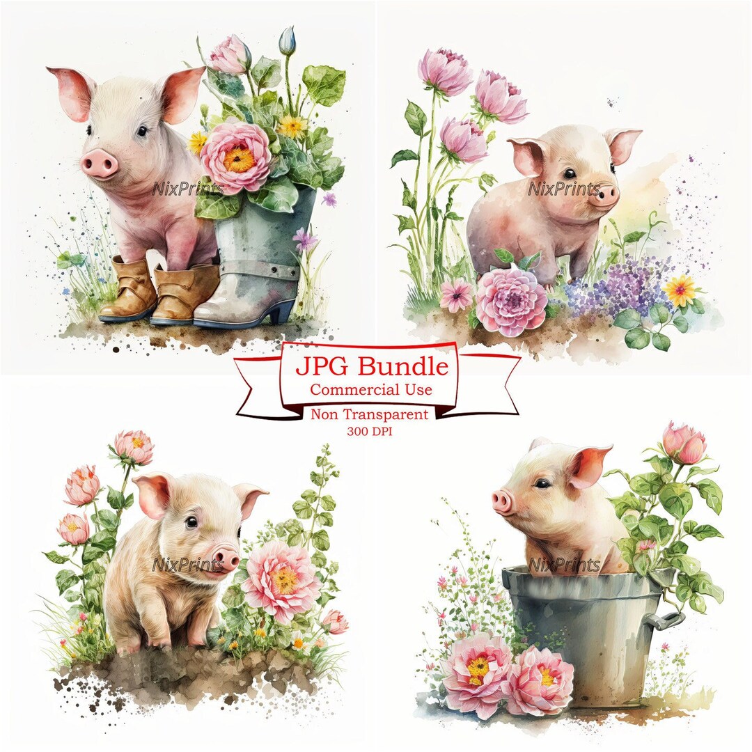 Baby Pig Piglet Clipart Bundle - High Quality Jpgs for Commercial Use ...