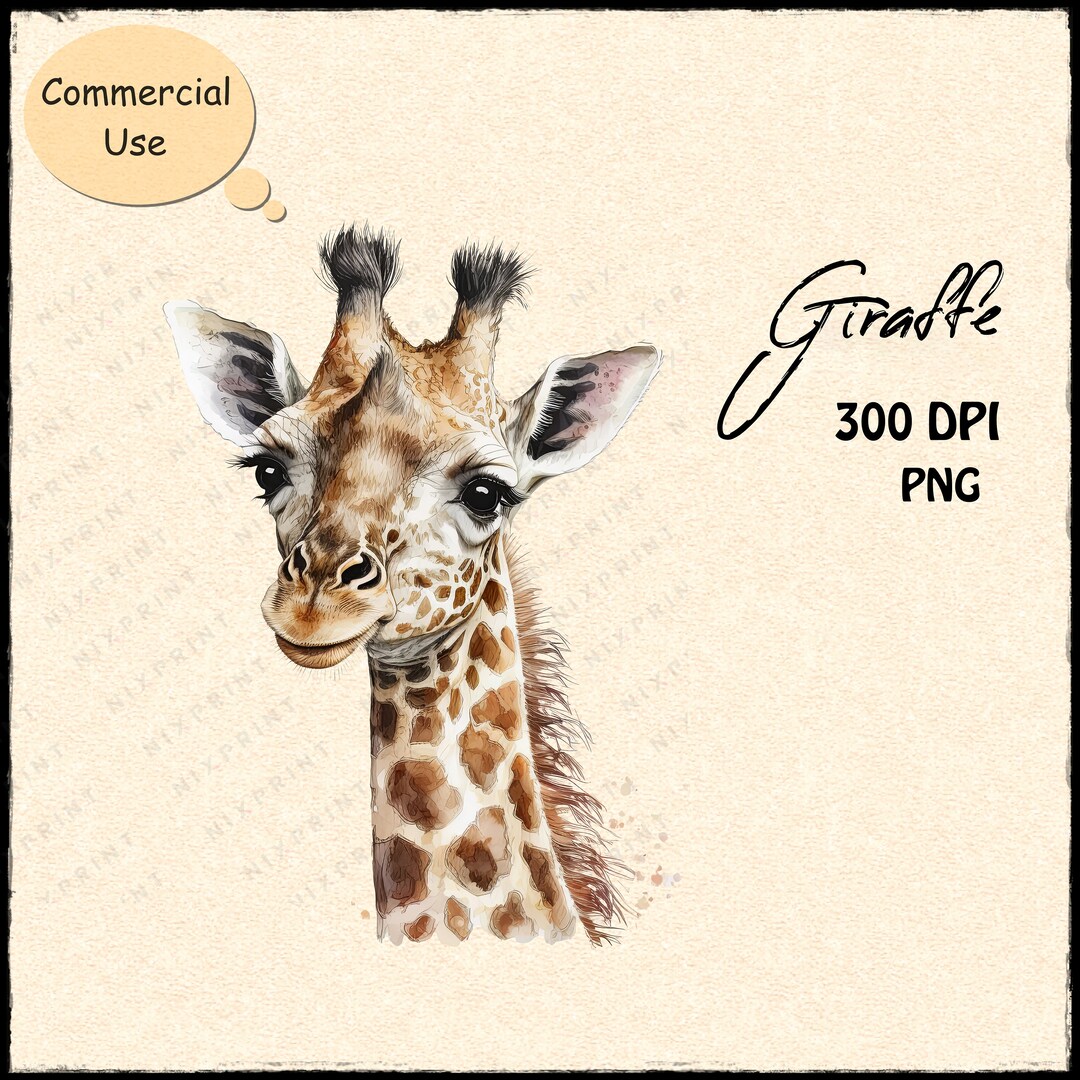 Watercolor Giraffe Clipart for Safari Nursery Decor and Baby Shower ...
