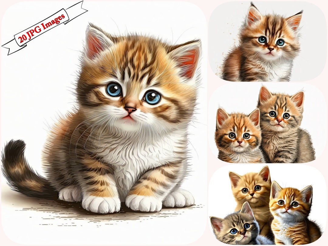 Commercial Use Kitten Clipart -high Quality Digital Cliparts in 300 DPI ...