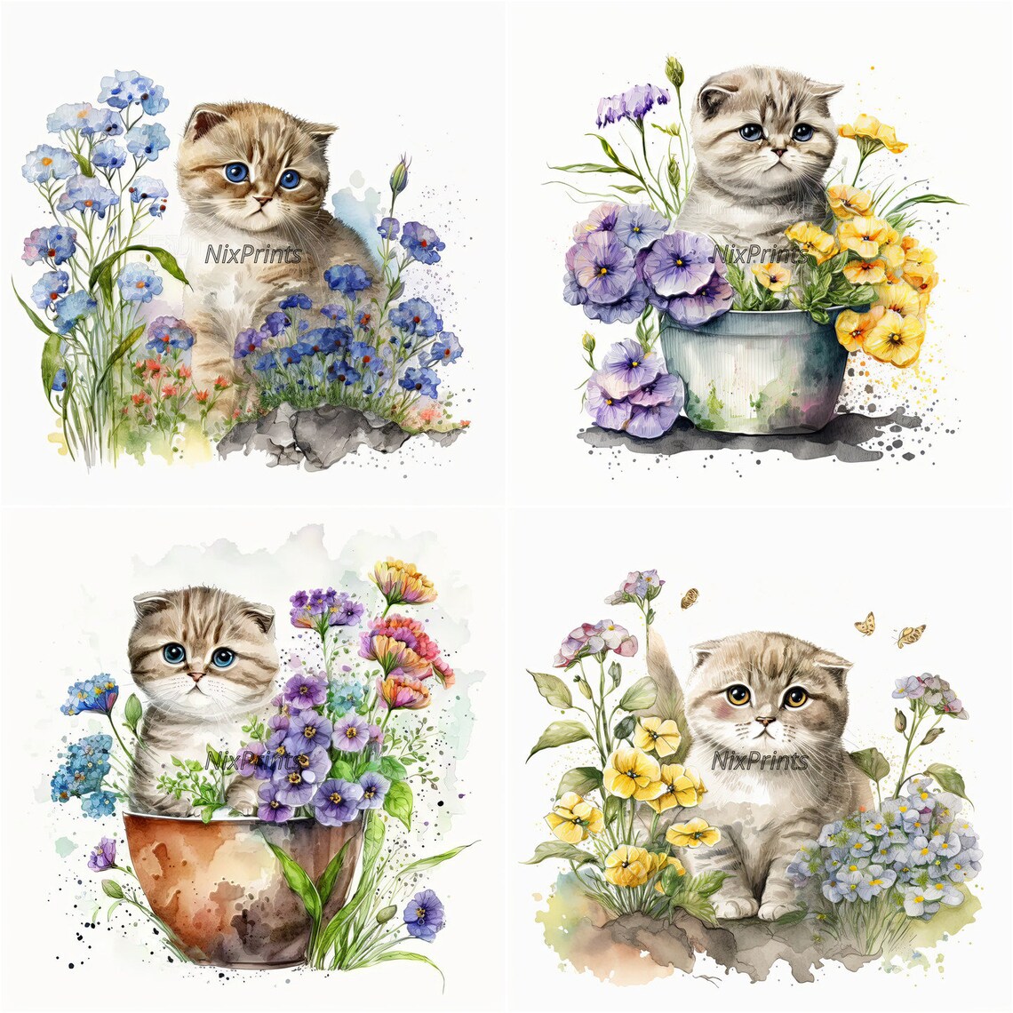 Scottish Fold Cat Spring Flowers Clipart Digital Image - Etsy