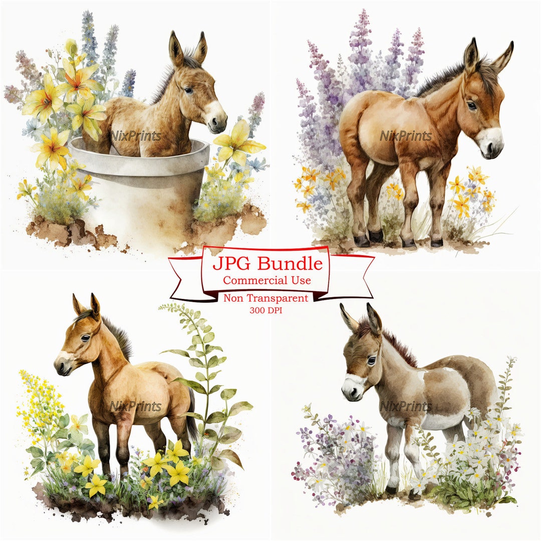 Spring Baby Mule Foal Clipart Set - High Quality Digital Image ...
