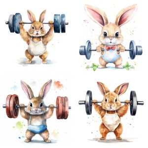Rabbit Clipart, Gym Clipart, in a Gym Outfit, Lifting Weights, at a Gym ...