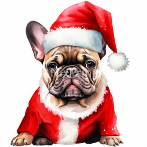 French Bulldog Clipart, Christmas Clipart, Santa Claus Dress, White ...