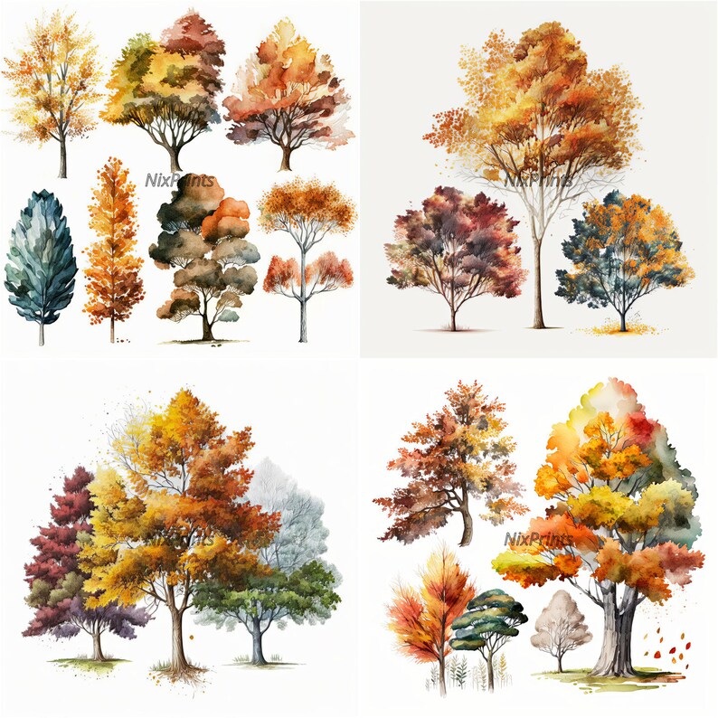 Autumn Trees Clipart: Watercolor Fall Forest Illustration - Etsy