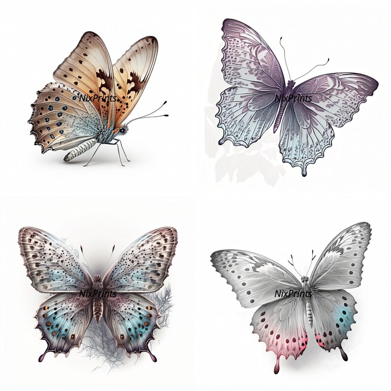 Beautiful Watercolor Butterfly Clipart Bundle colorful and - Etsy