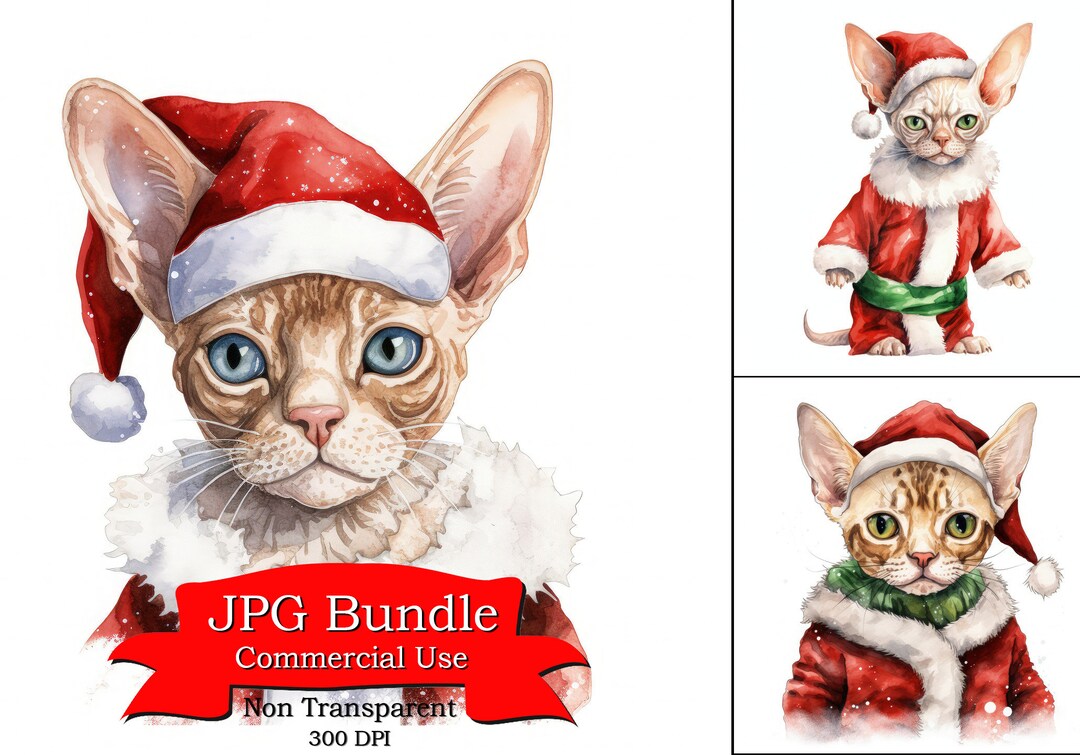 Cute Devon Rex Cat Clipart, Santa Claus Dress, White Background Clipart ...
