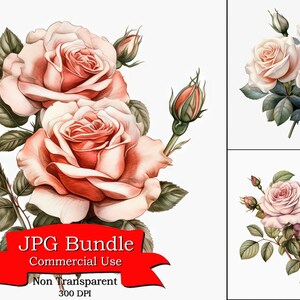 Detailed Roses Clipart Clipart Digital Sticker for Packaging - Etsy