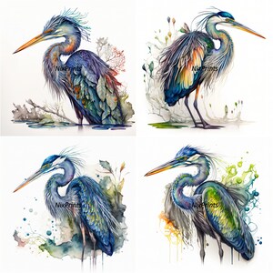 Blue Heron Clipart Discover the Beauty of Watercolor Little Bird ...