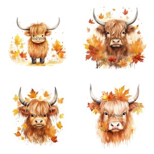 Highland Cow Fall Foliage Clipart, Picture for for Kitchen, Poster for ...