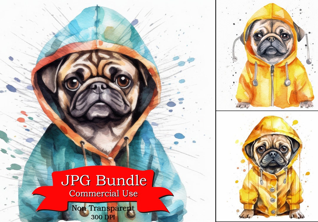Cute Pug Dog Rain Gear Watercolor Clipart, Picture for Grandpa ...