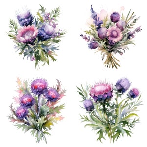 Thistle Flower Bouquet Clipart. Watercolor Art, Digital Paper Crafting ...