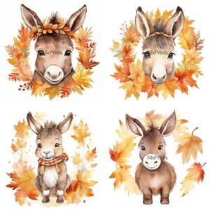 Cute Donkey Fall Foliage Fall Season Watercolor Clipart, Art for Office ...