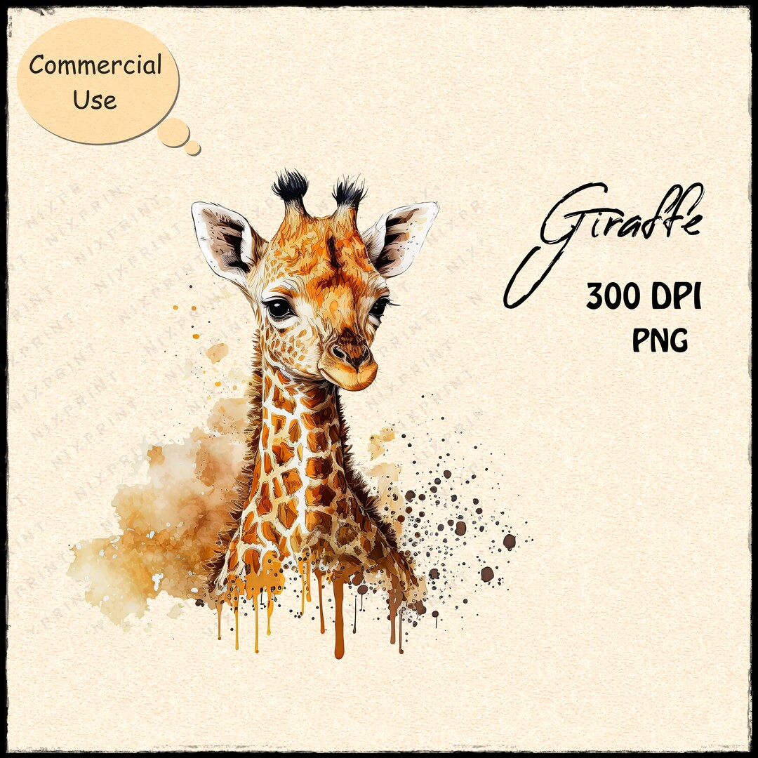 Baby Giraffe Safari Animal ,PNG Format in Tranparant Background , Best ...
